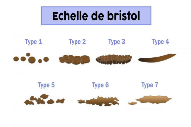 Qu'est-ce que l'échelle de Bristol : interprétez vos selles ...